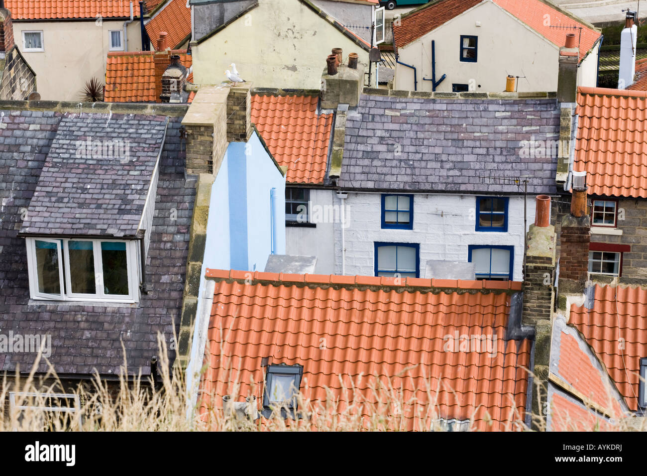 Looking down on the rooves of Staithes, North Yorkshire Stock Photo - Alamy