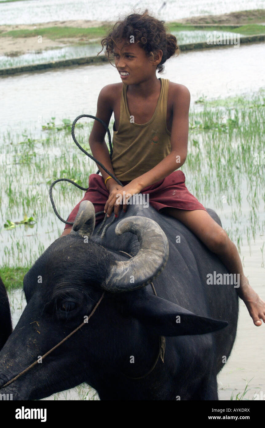 Monsoon season in the South Eastern Tarai plains which stretch the ...
