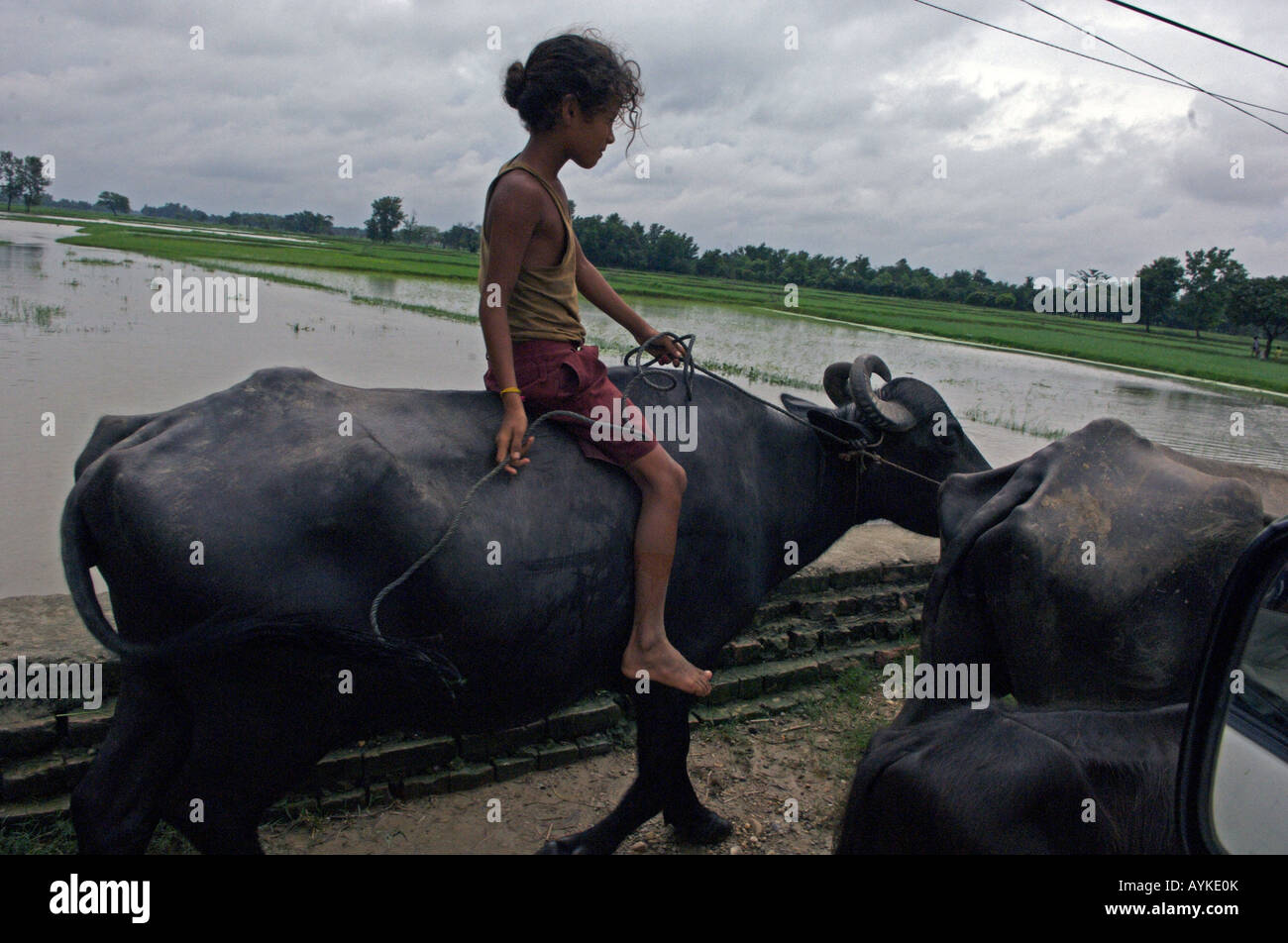 Monsoon season in the South Eastern Tarai plains which stretch the ...