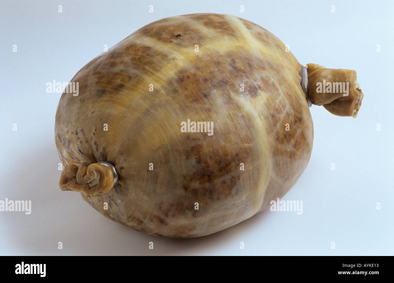Haggis Scotland Traditional British Food Stock Photo - Alamy