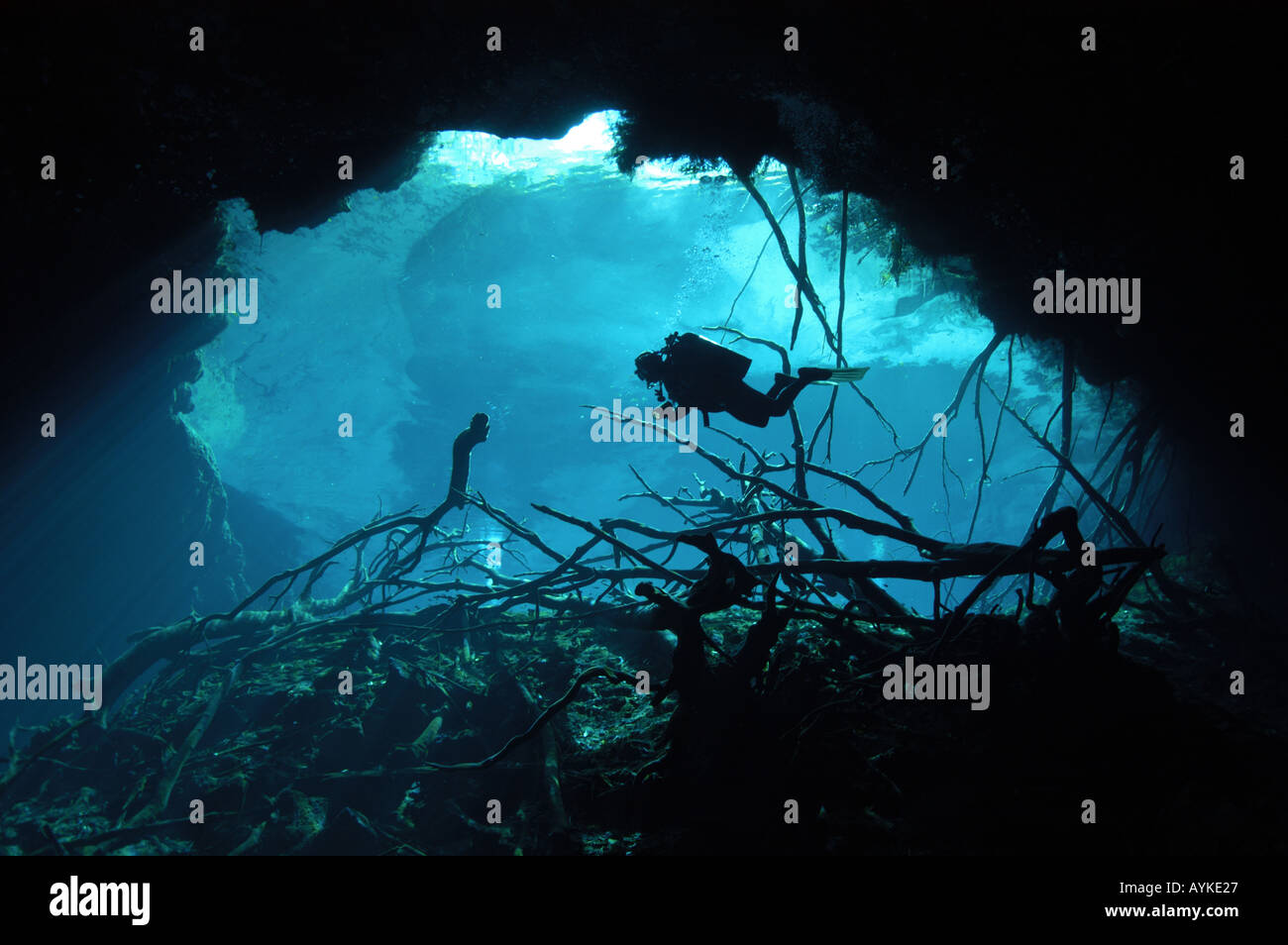 cave diver entering flooded cenote cave system yucatan mexico Stock Photo - Alamy