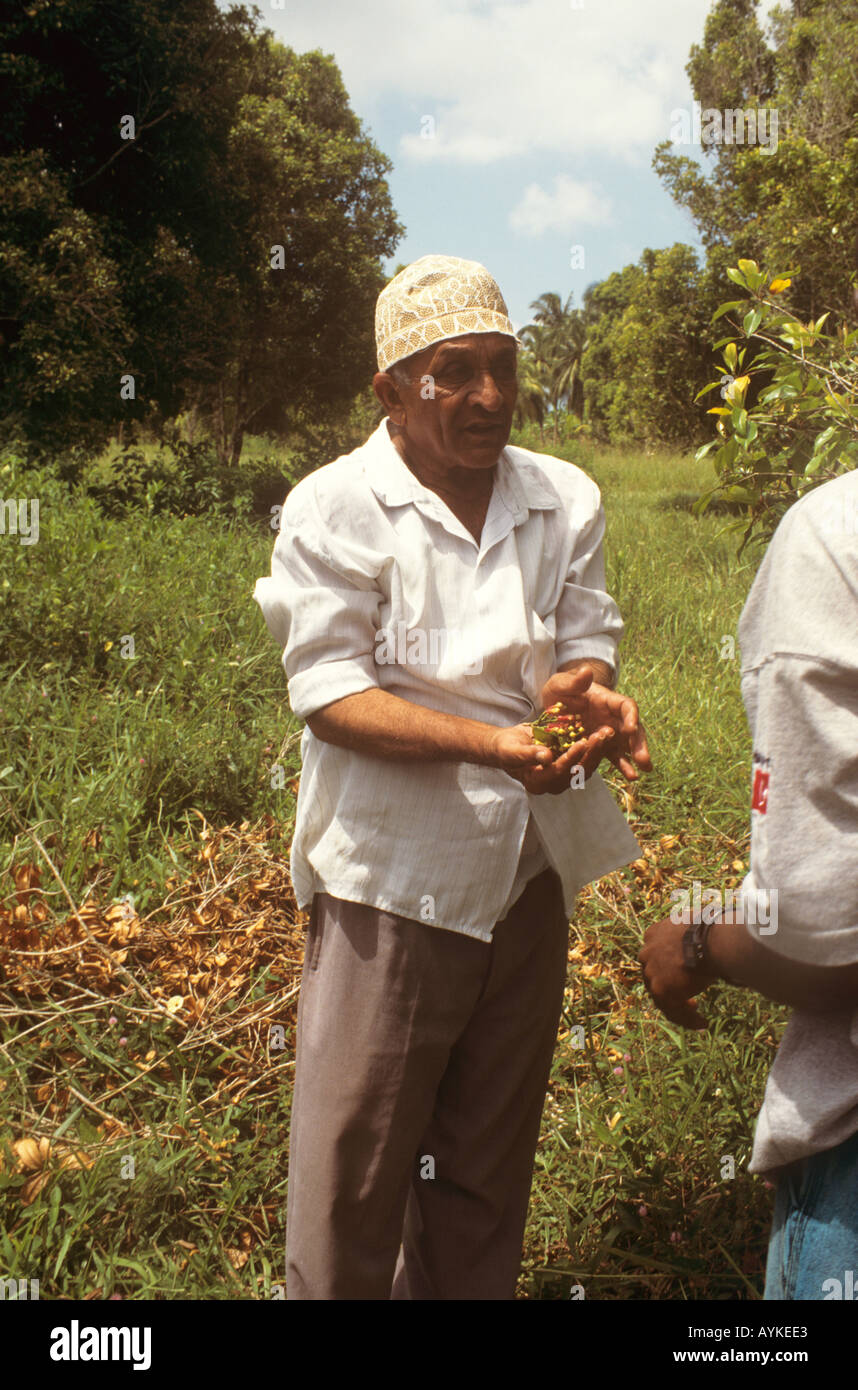 Spice tour by famous local guide Mr Mitu on Zanzibar Island, Tanzania ...