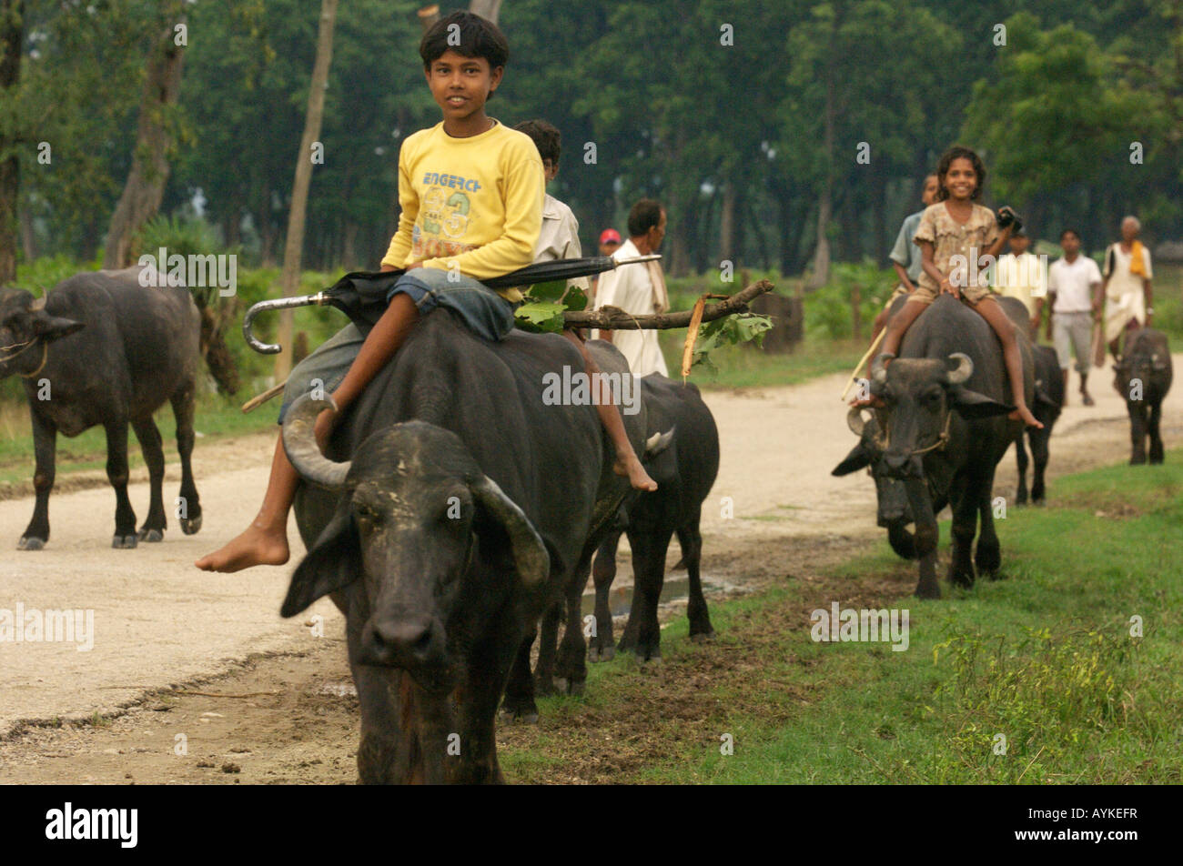 Monsoon season in the South Eastern Tarai plains which stretch the ...