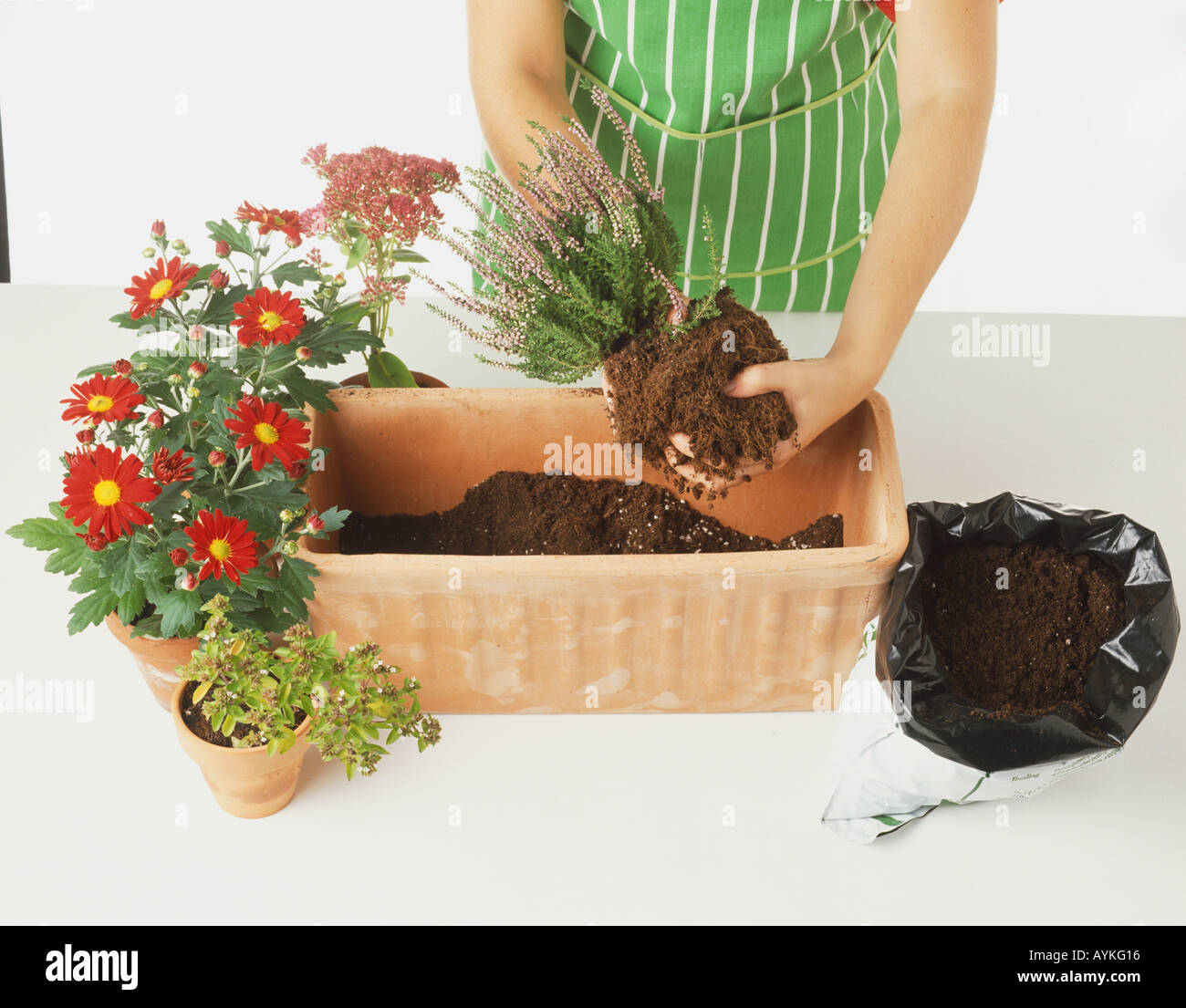 Emptying box hi-res stock photography and images - Alamy
