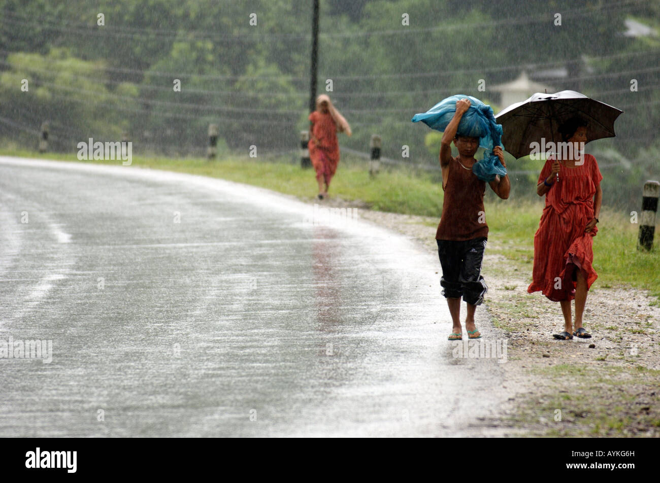 Monsoon season in the South Eastern Tarai plains which stretch the ...