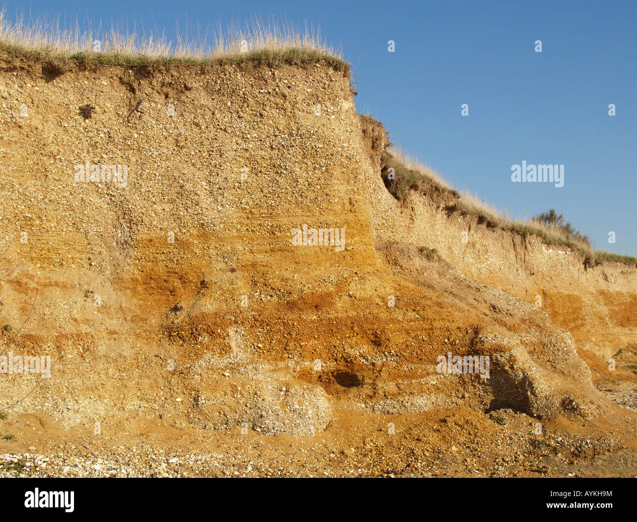 eroded beach cliff field edge sea erosion defence Stock Photo - Alamy