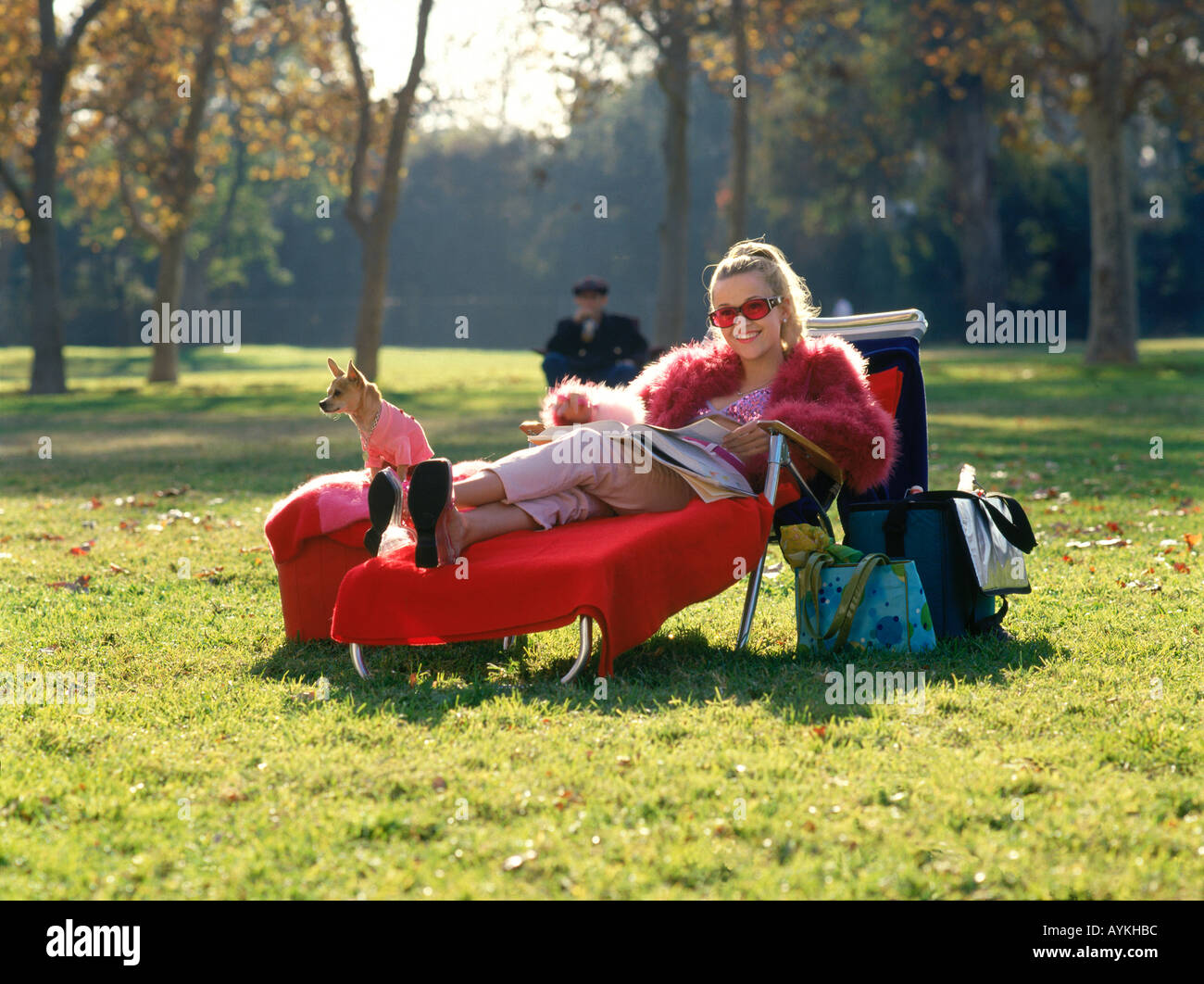 Legally blonde film 2001 hi-res stock photography and images - Alamy Legally blonde film 2001 hi-res stock photography and images - Alamy