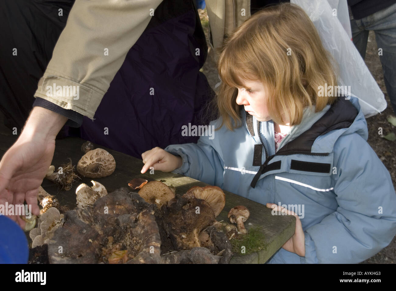 Collection of fungus hi-res stock photography and images - Alamy