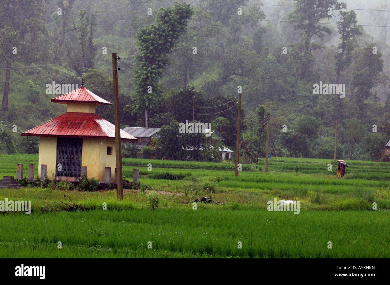 Monsoon season in the South Eastern Tarai plains which stretch the ...