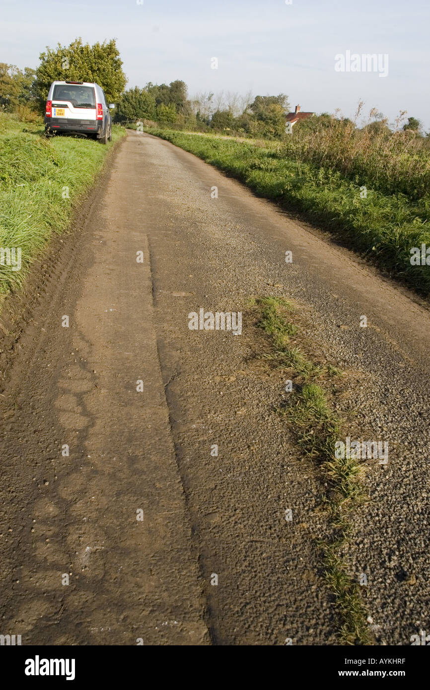 grass growing through tarmac in country lane Stock Photo - Alamy