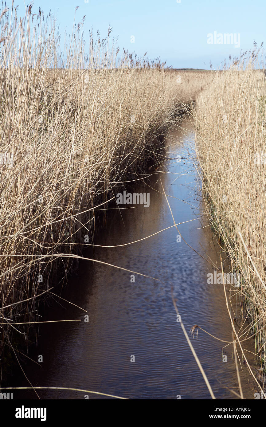 Kilbaha Stock Photos & Kilbaha Stock Images - Alamy