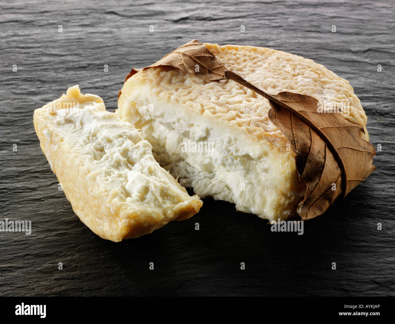 French Goats ( Chevre) Cheese from Nornmandy against a black background ...