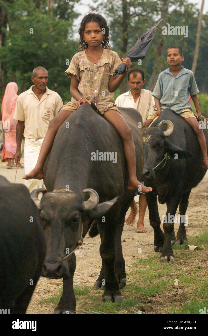 Monsoon season in the South Eastern Tarai plains which stretch the ...