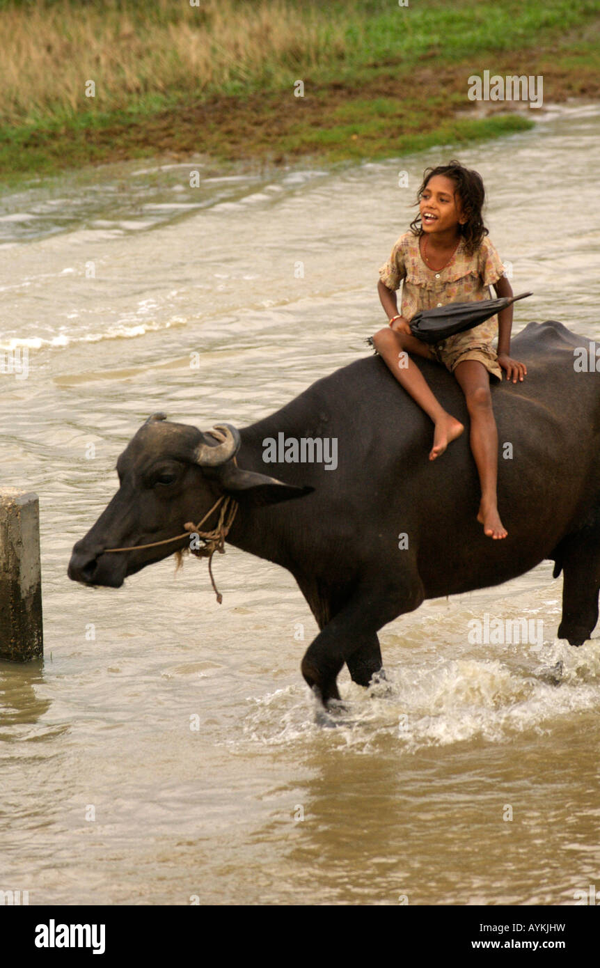Monsoon season in the South Eastern Tarai plains which stretch the ...