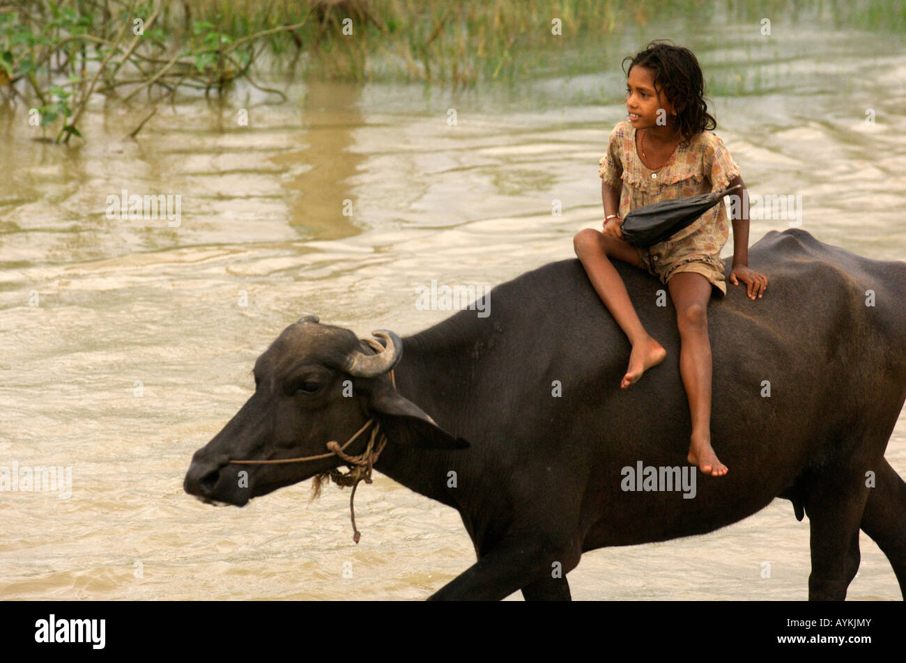 Monsoon season in the South Eastern Tarai plains which stretch the ...