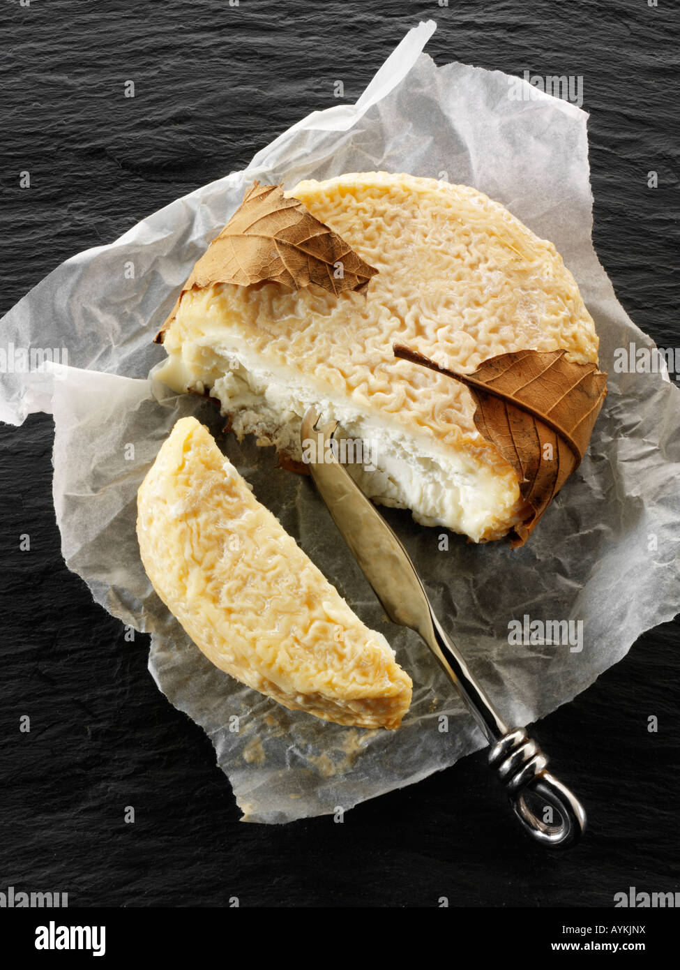 French Goats ( Chevre) Cheese from Nornmandy against a black background ...
