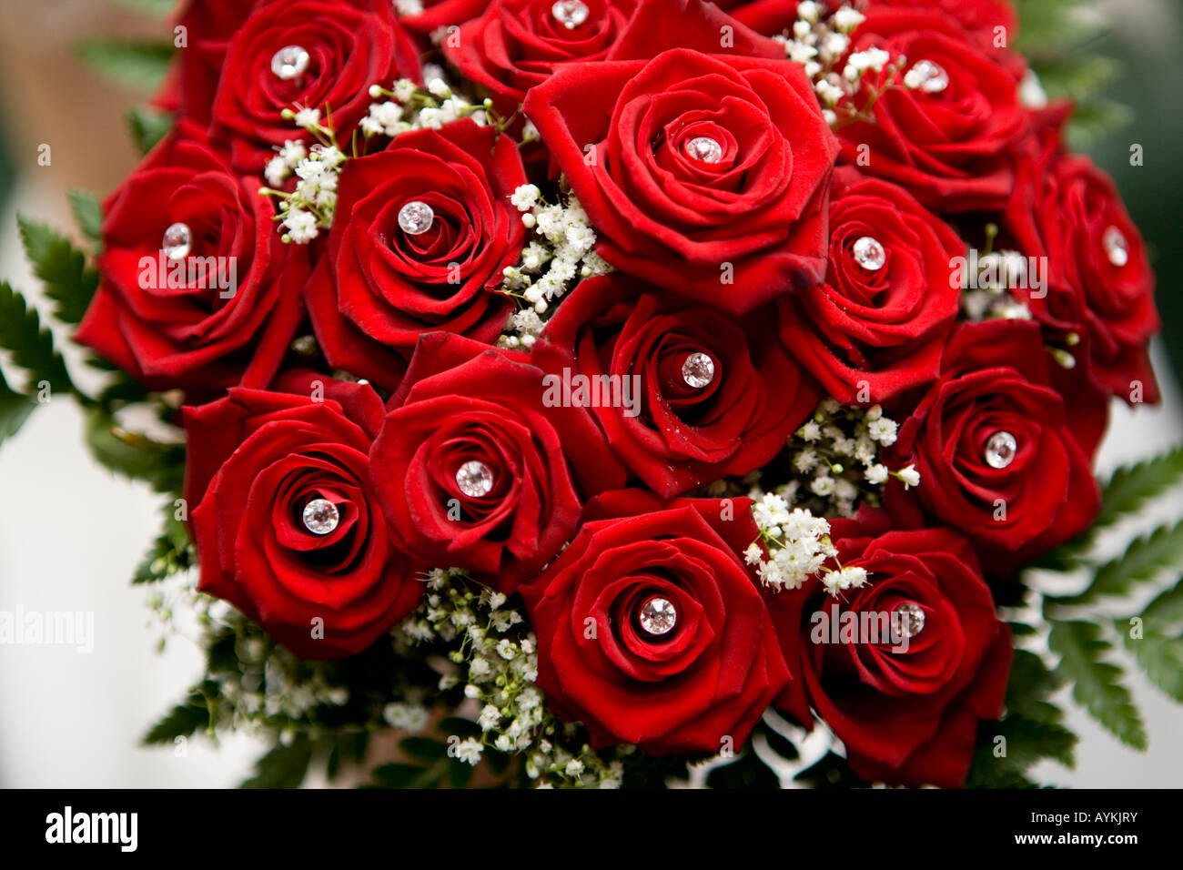 Rose bo hi-res stock photography and images - Alamy