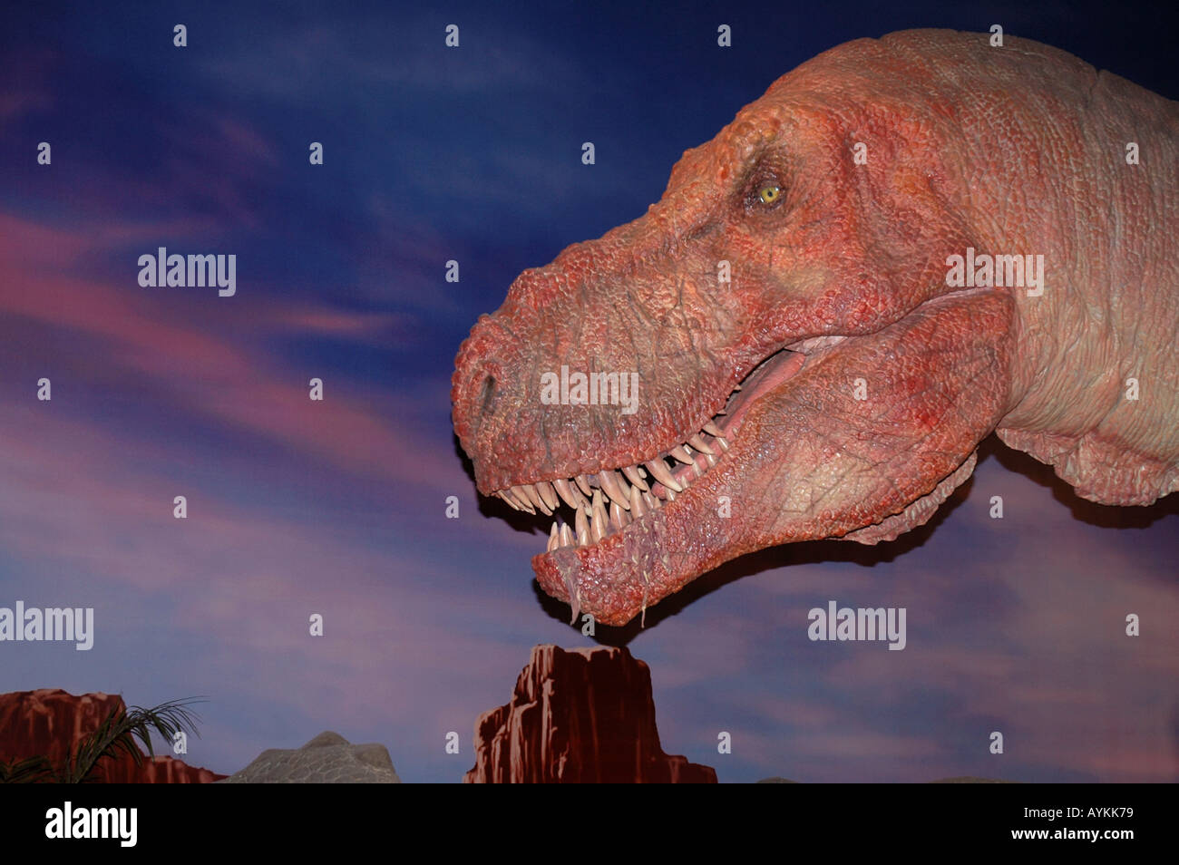 Le rex hi-res stock photography and images - Alamy