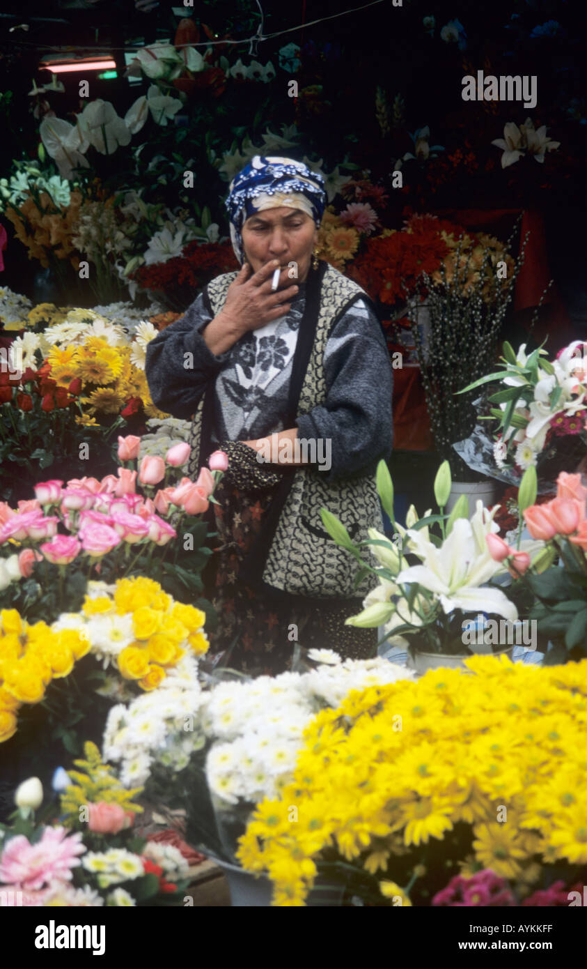 Roma gypsy hi-res stock photography and images - Alamy