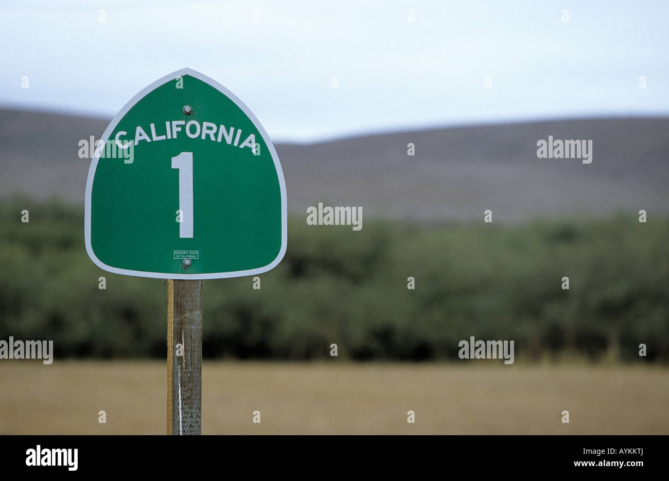 Green Highway One sign California USA October 2004 Stock Photo - Alamy
