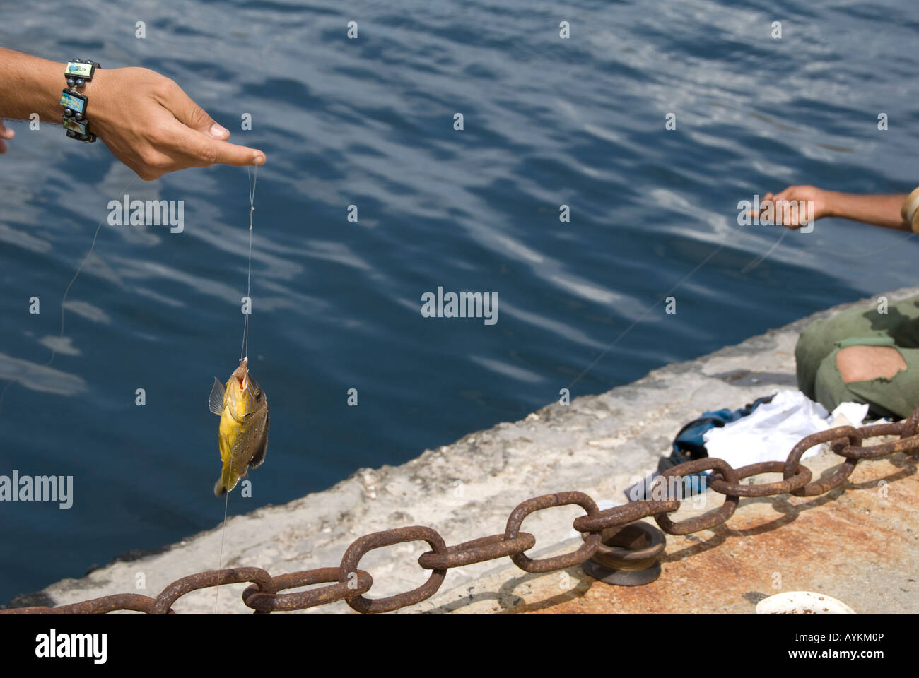 Two men catching fish hi-res stock photography and images - Alamy