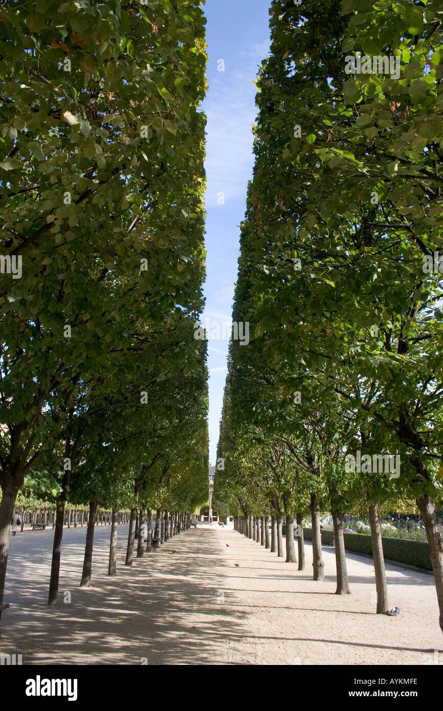 Royal city avenue hi-res stock photography and images - Alamy