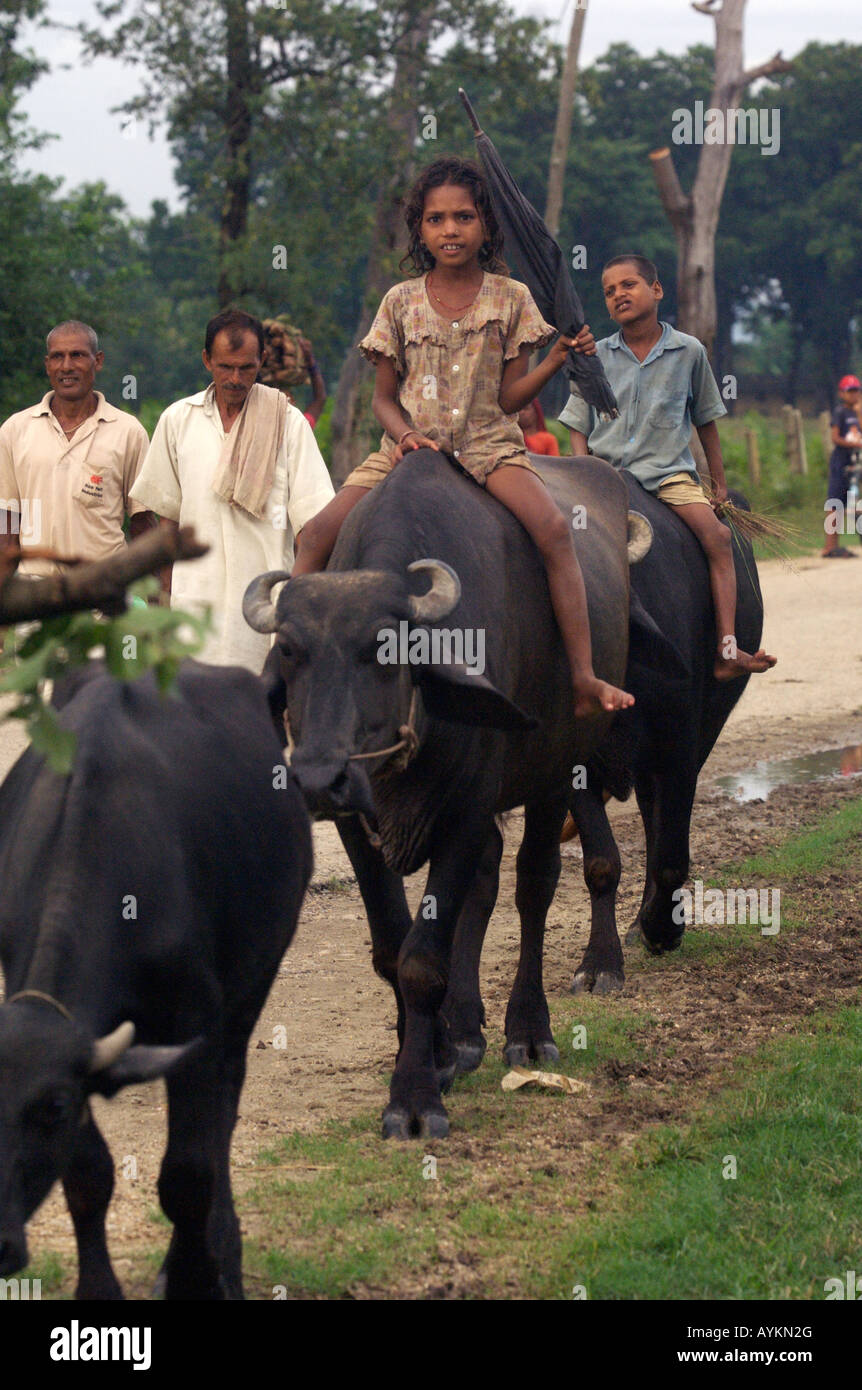 Monsoon season in the South Eastern Tarai plains which stretch the ...