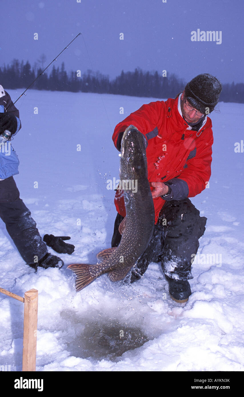 man hauling big pike from hole in the ice Stock Photo - Alamy
