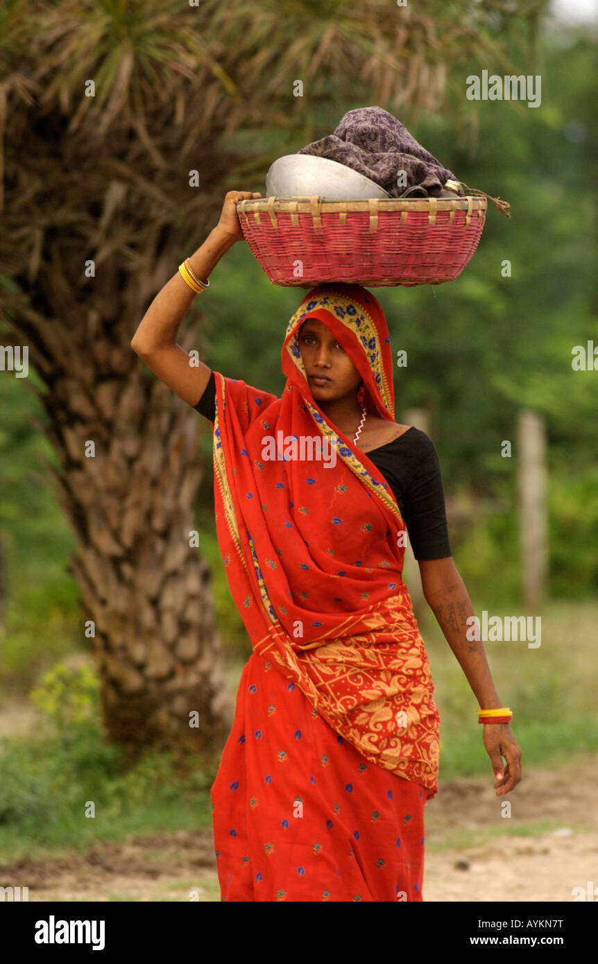 Monsoon season in the South Eastern Tarai plains which stretch the ...