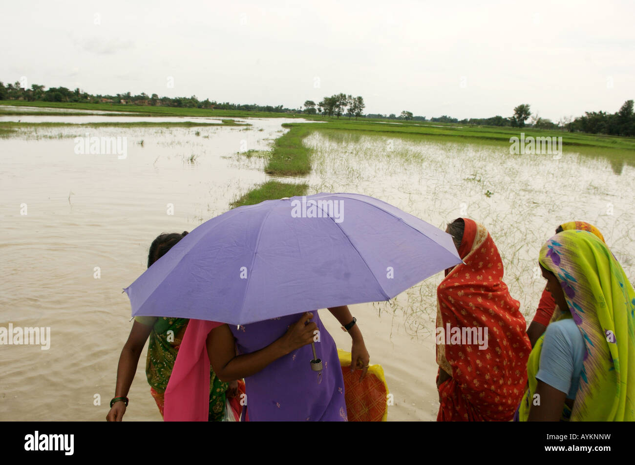 Monsoon season in the South Eastern Tarai plains which stretch the ...