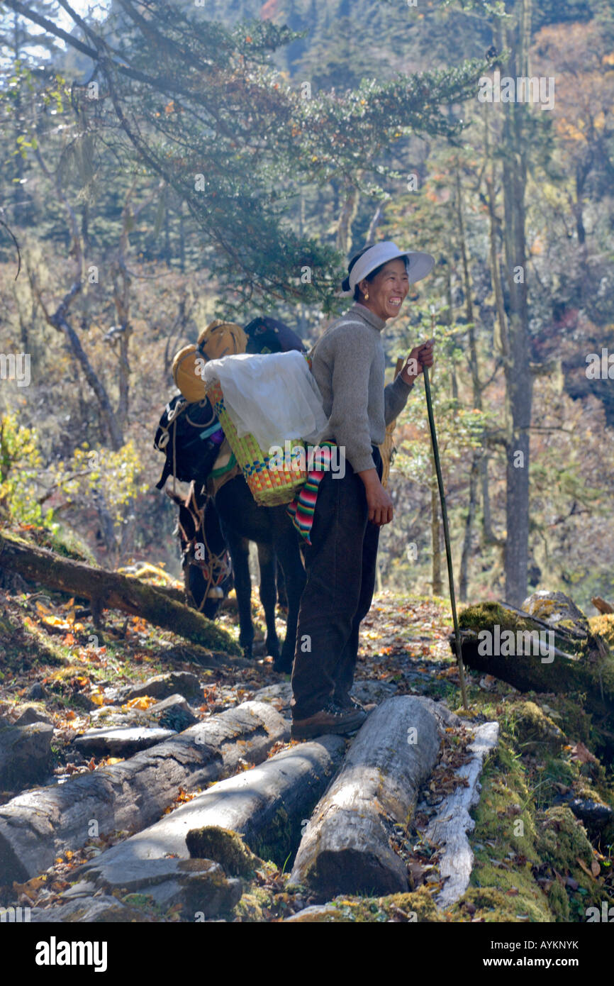 Female Tibetan guide on trail to Peacock Pass, Yunnan, China Stock ...