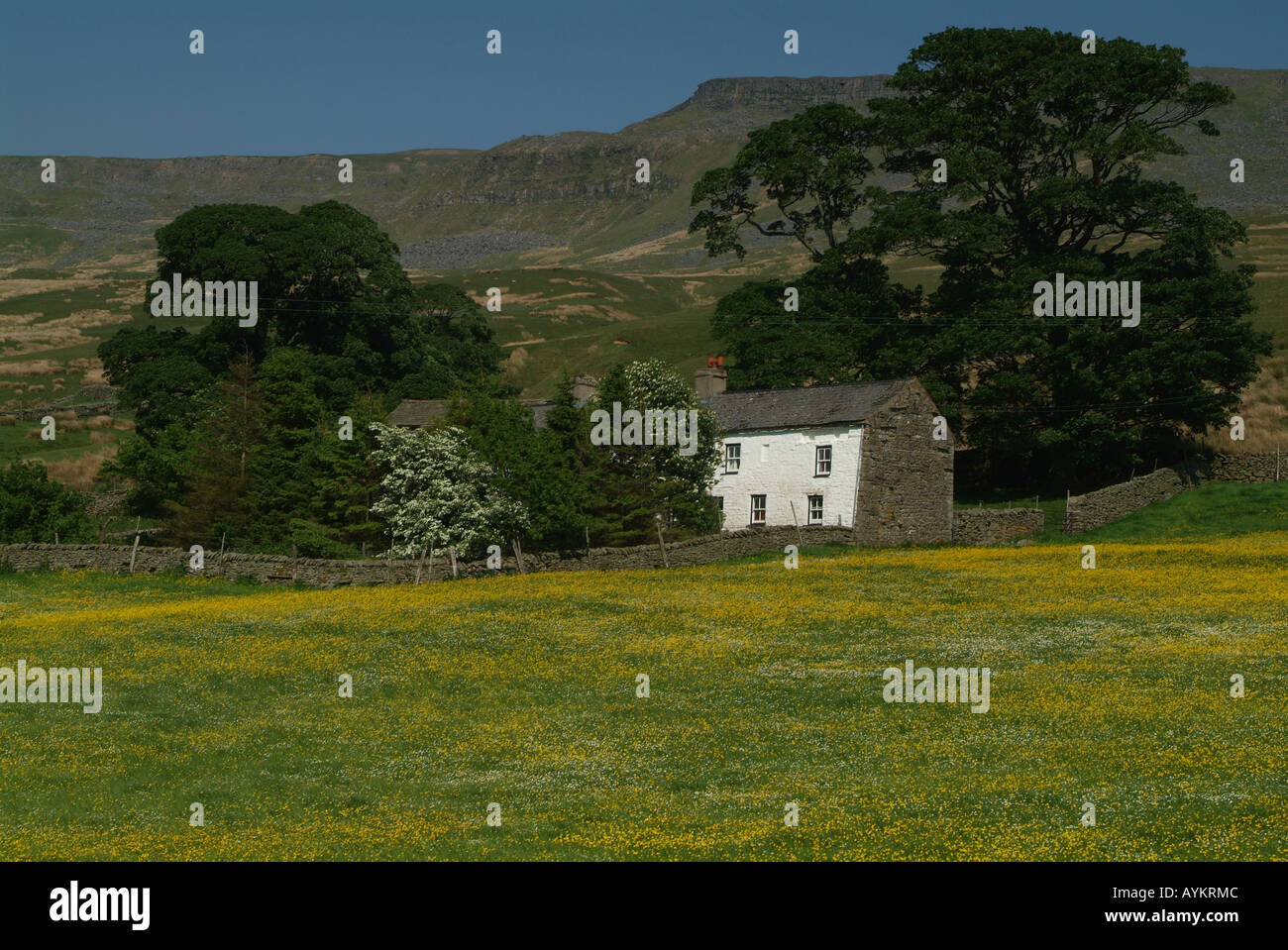 Boars Pike Cumbria Stock Photo - Alamy