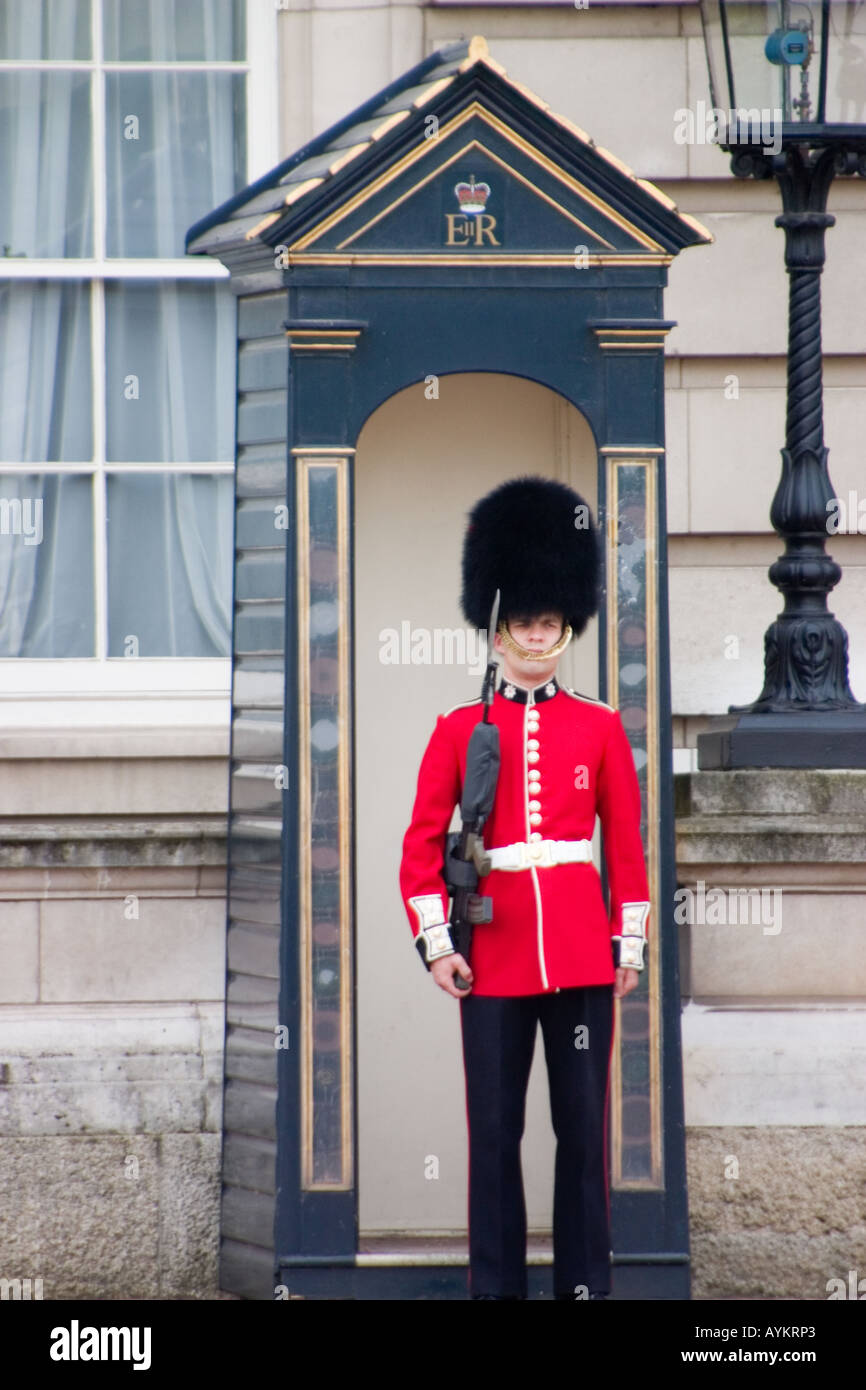 Queens Guard in front of the Buckingham Palace in London Stock Photo ...