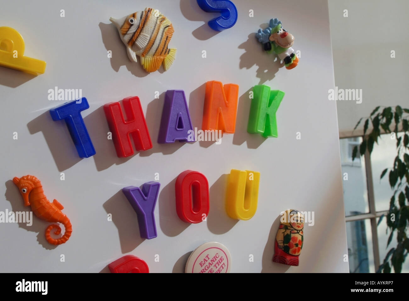 Refrigerator Magnet Thank You at James Chalmers blog