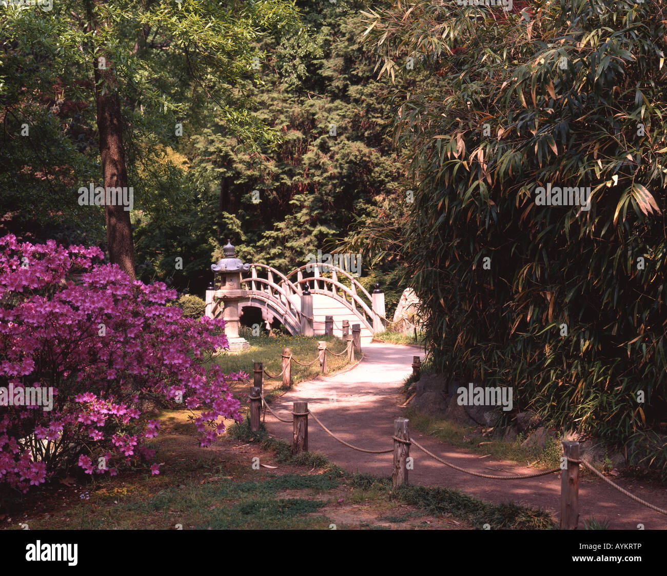 Pathway in oriental garden hi-res stock photography and images - Alamy