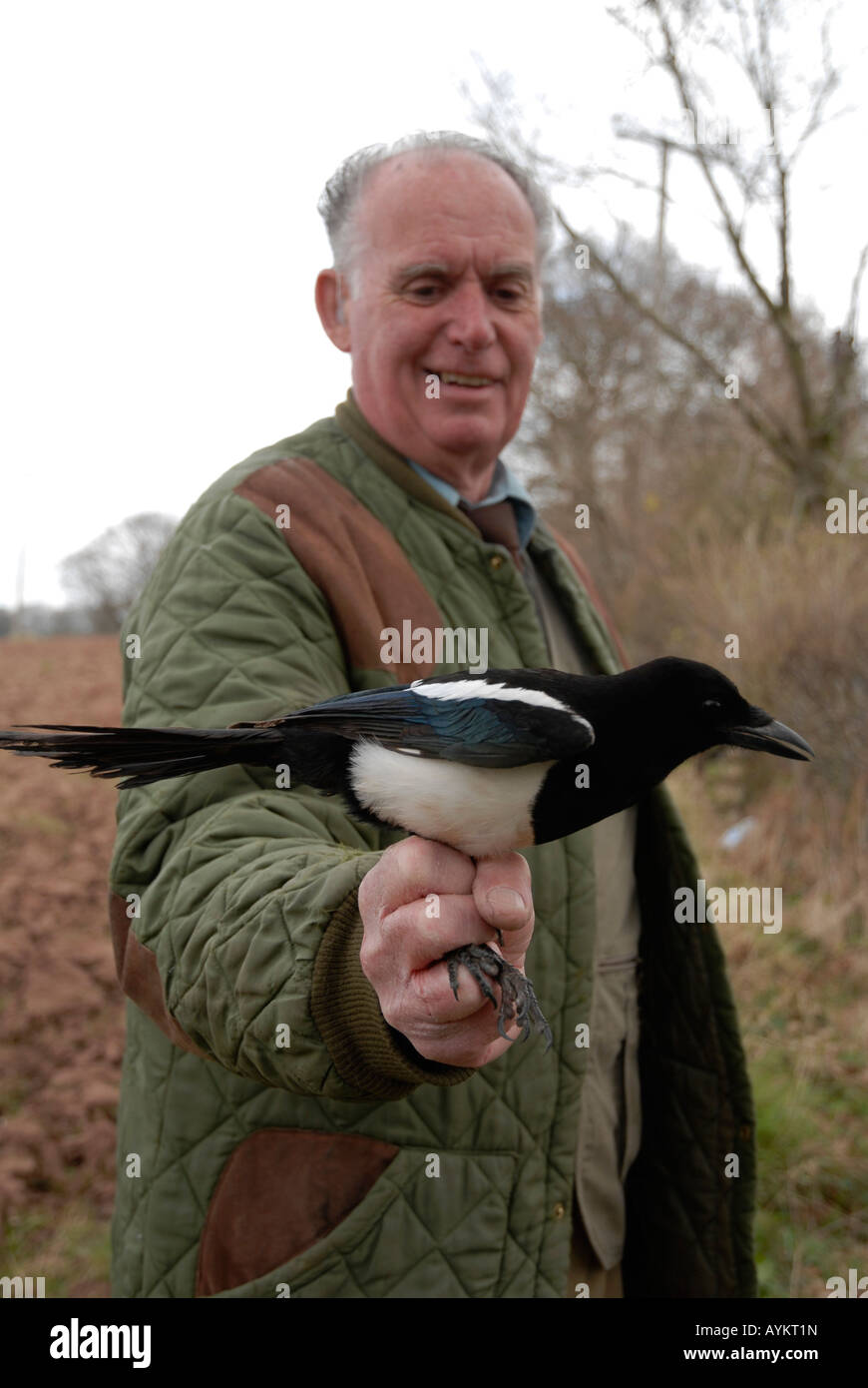 Magpie trap hi-res stock photography and images - Alamy