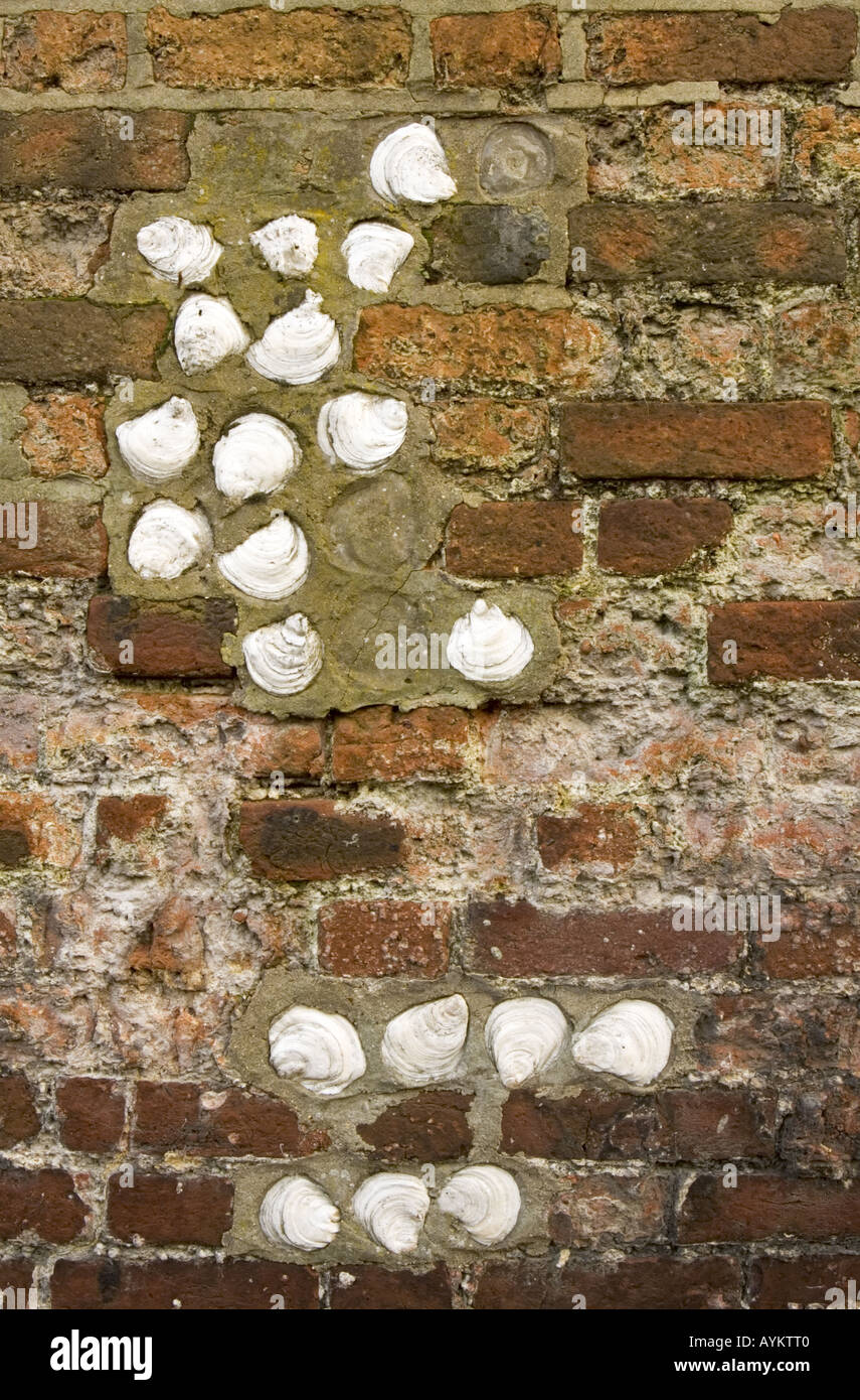 Decorative white painted sea shells in brick wall Stock Photo - Alamy