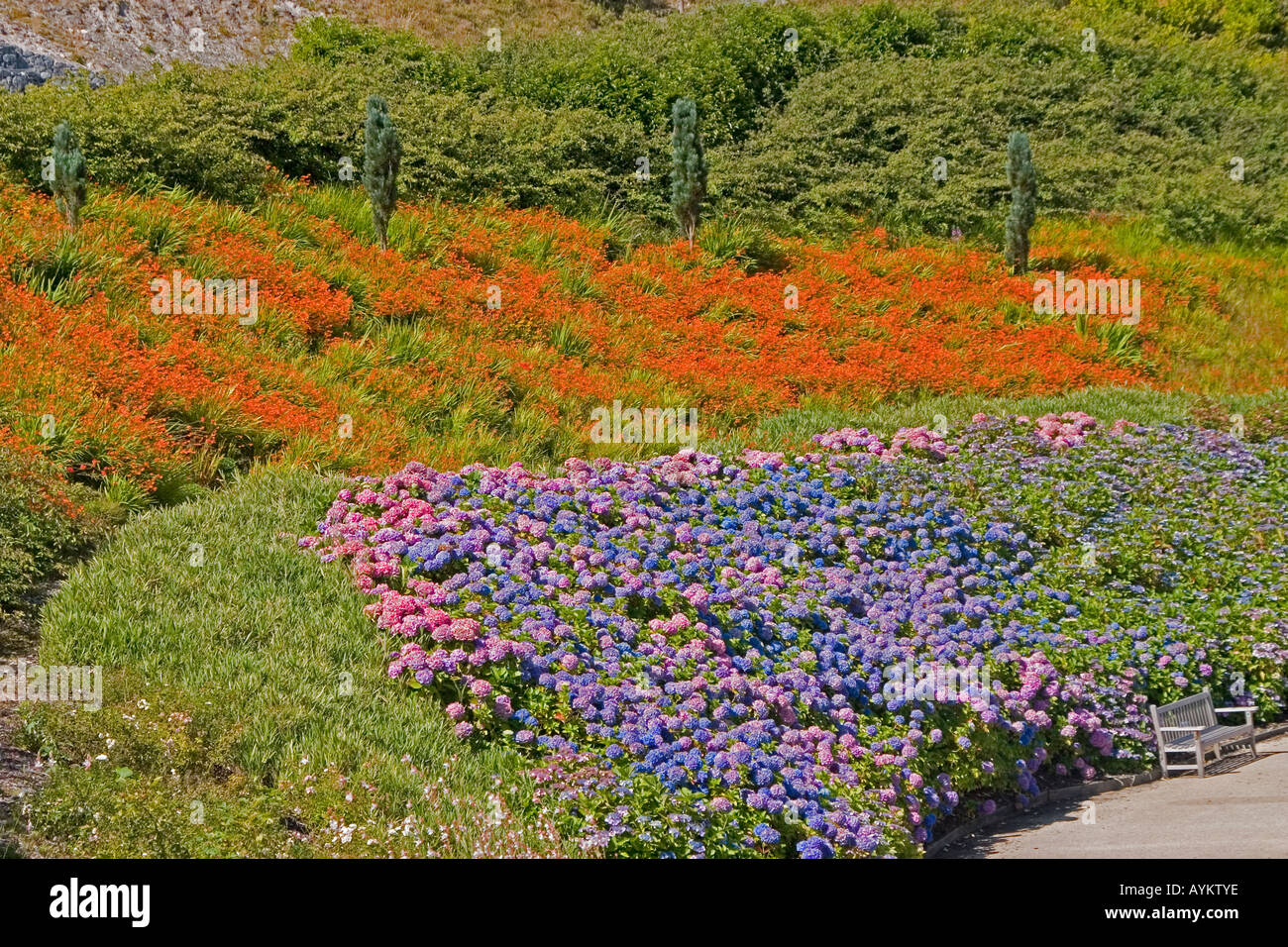 flowers at the eden project Stock Photo - Alamy