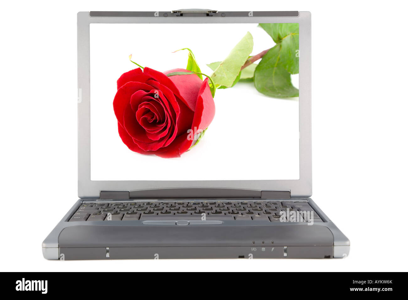 the laptop with rose background with clipping path Stock Photo - Alamy
