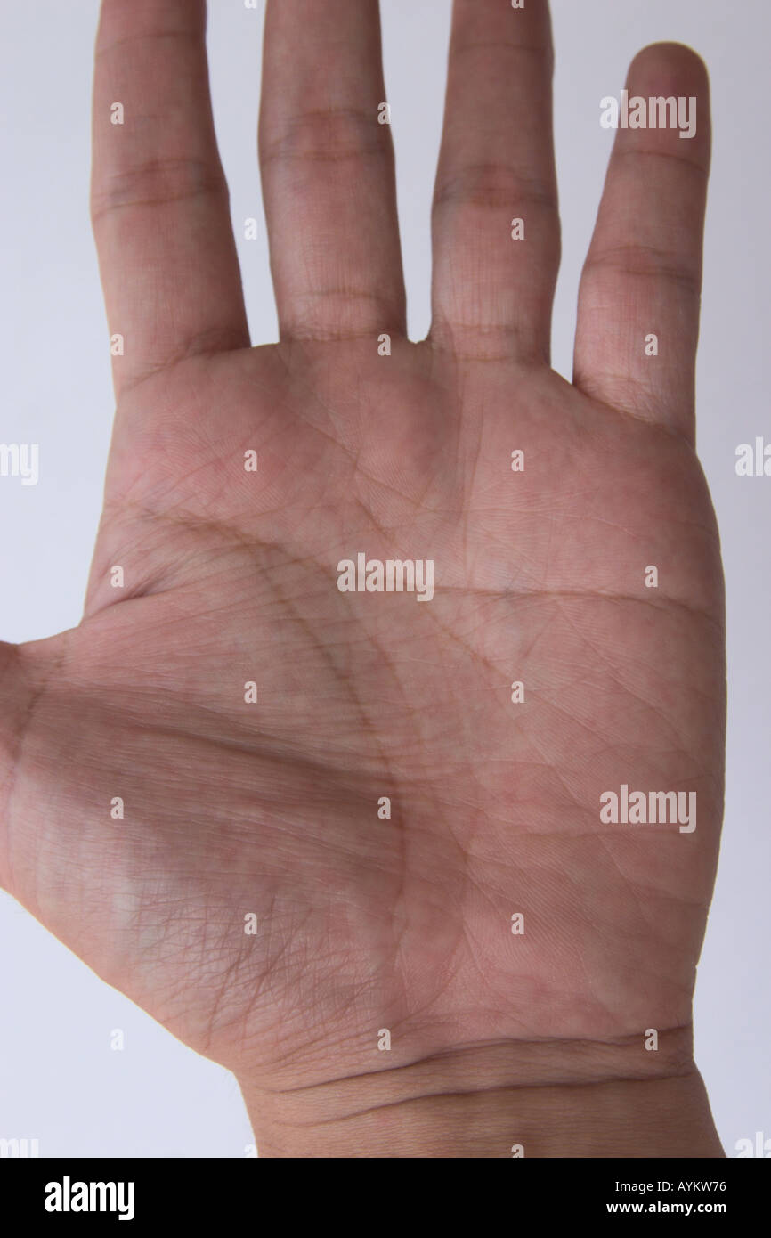 Simian hand hi-res stock photography and images - Alamy