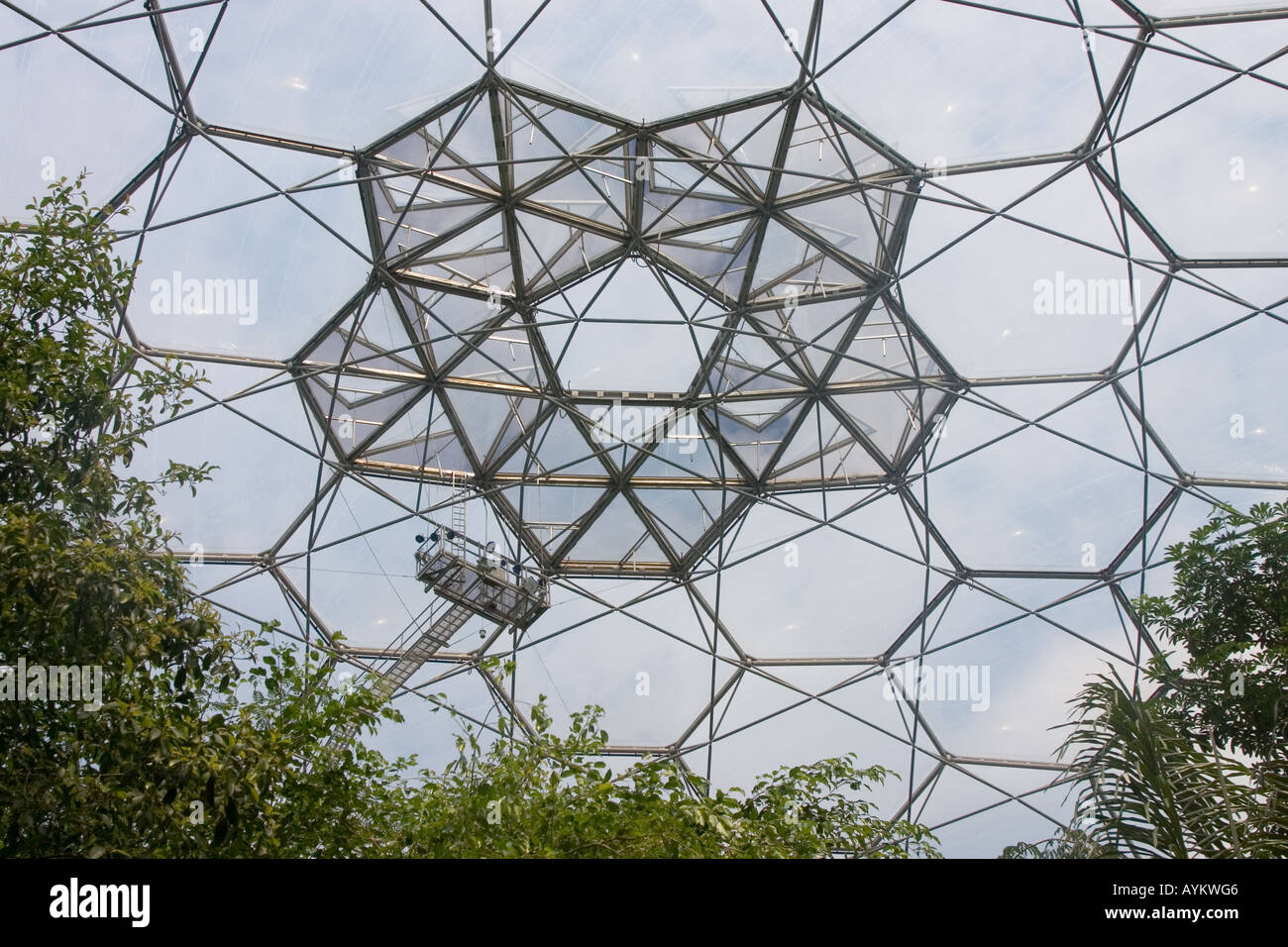 roof of the eden project Stock Photo - Alamy