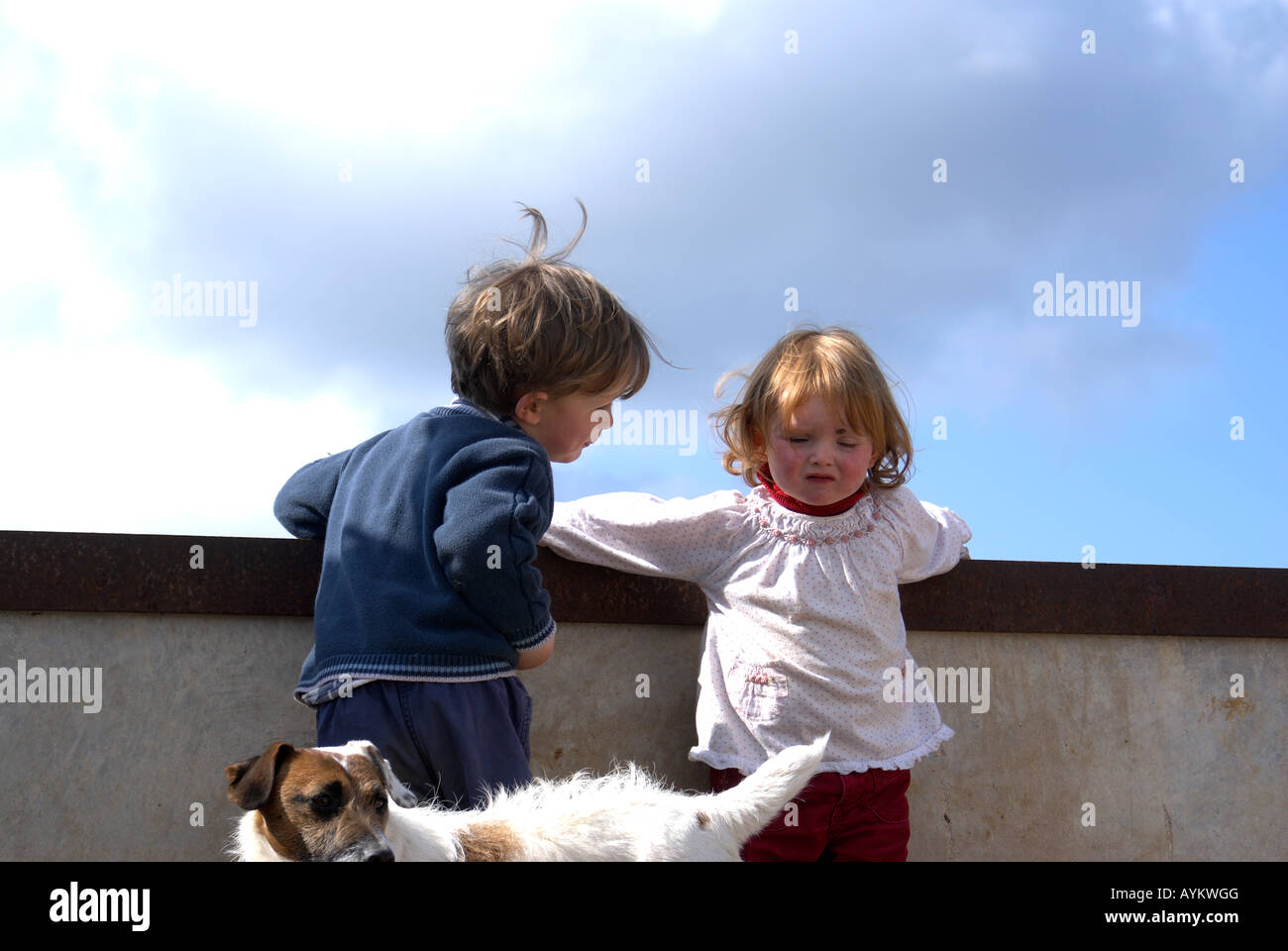Kids messing about with dog Jack RussFriendship; companionship ...
