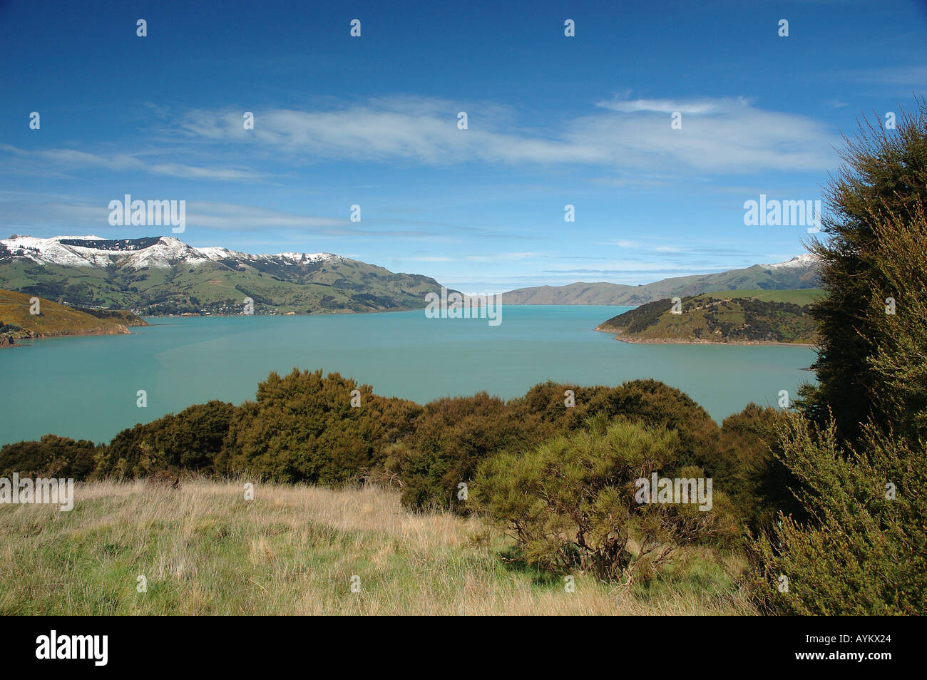 Akaroa new zealand scenic hi-res stock photography and images - Alamy