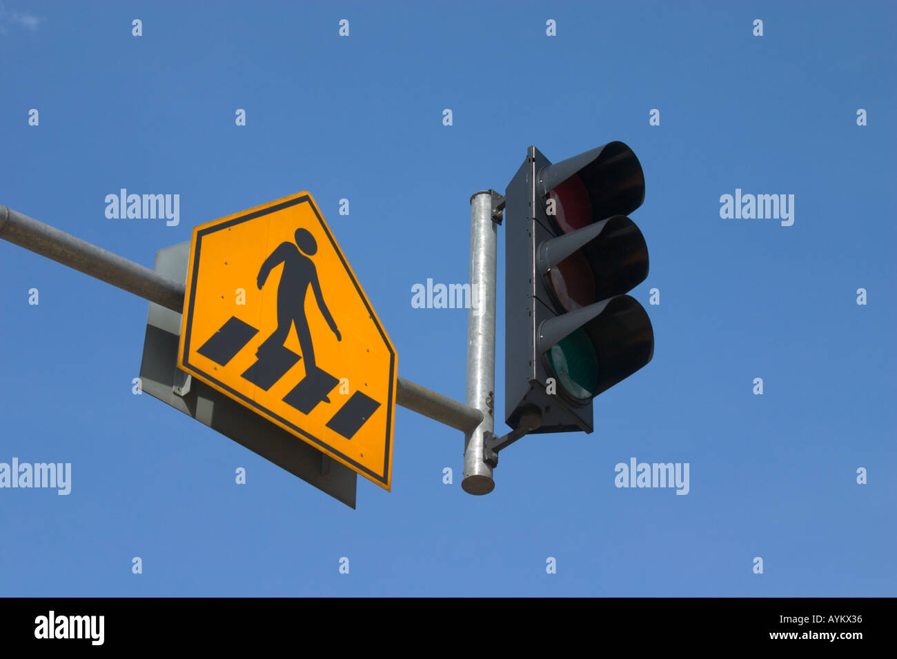 pedestrian crossing signboard and traffic lights concept walk this way ...