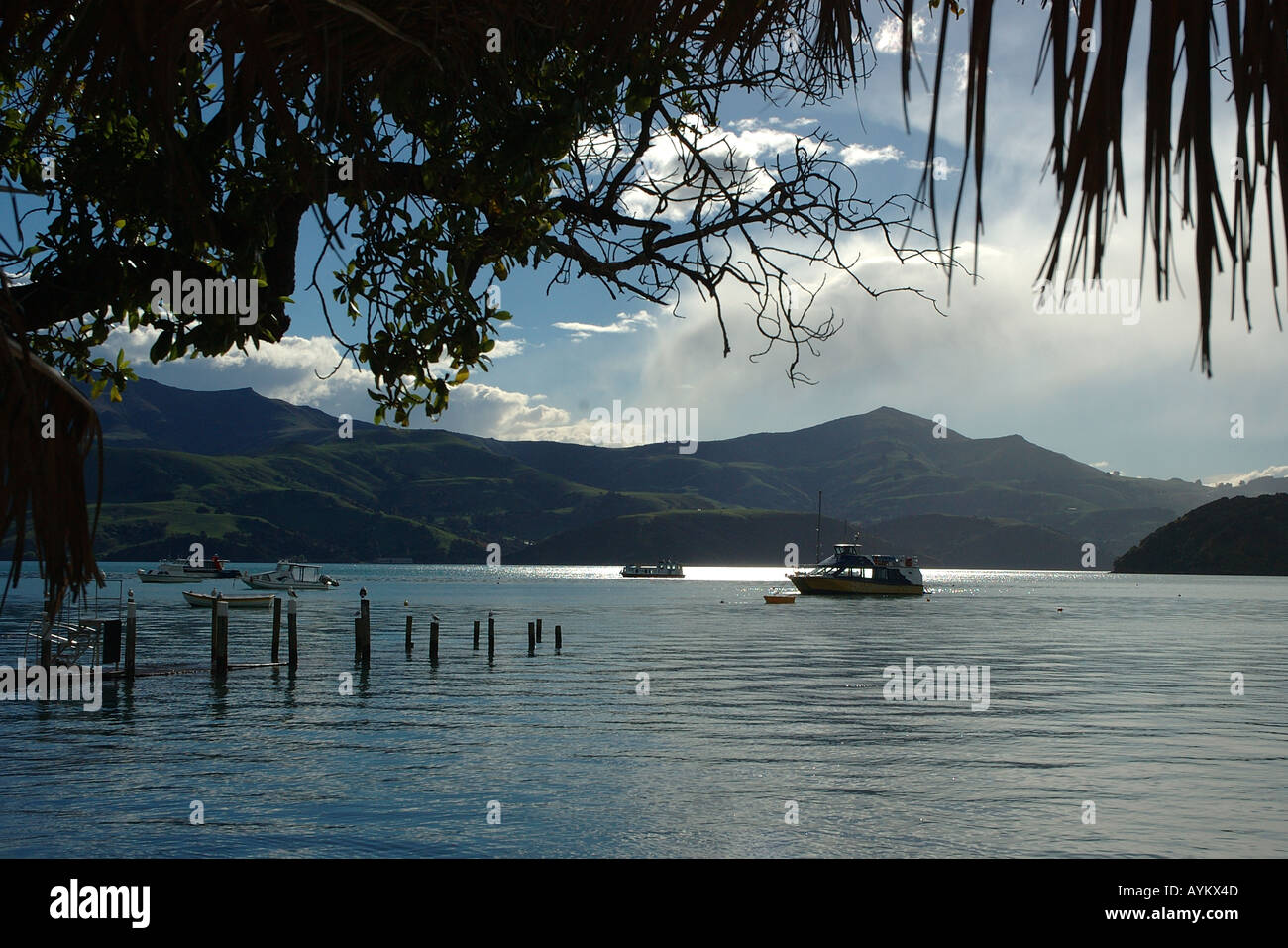 View of Akaroa Harbour, on the Banks Peninsula, New Zealand Stock Photo ...