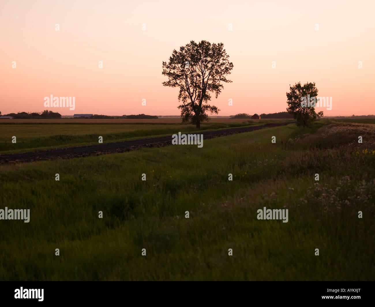 Fields and trees and paths hi-res stock photography and images - Alamy