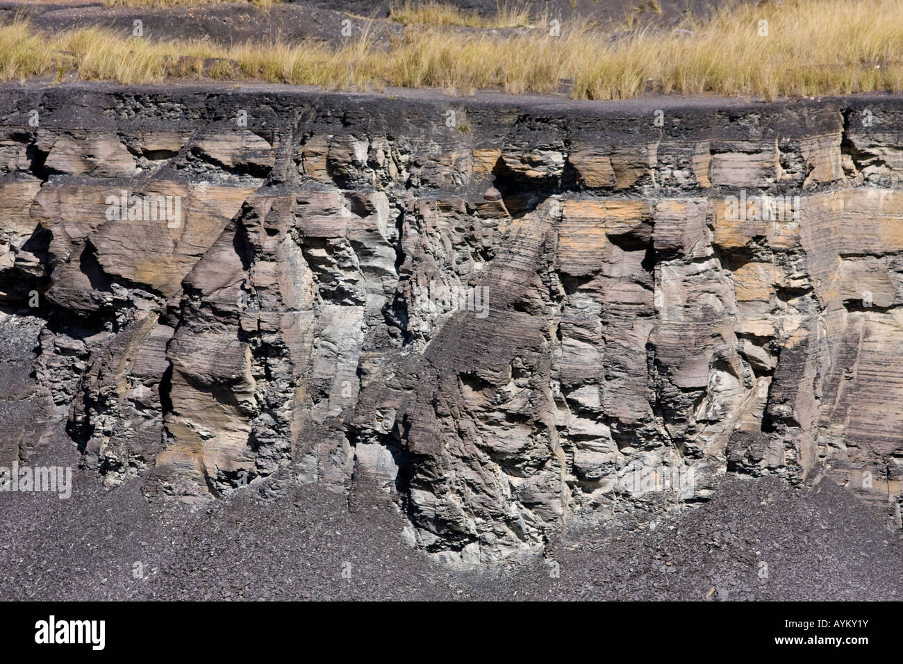 Ashfield shale in the brickpit at Homebush, NSW Stock Photo - Alamy