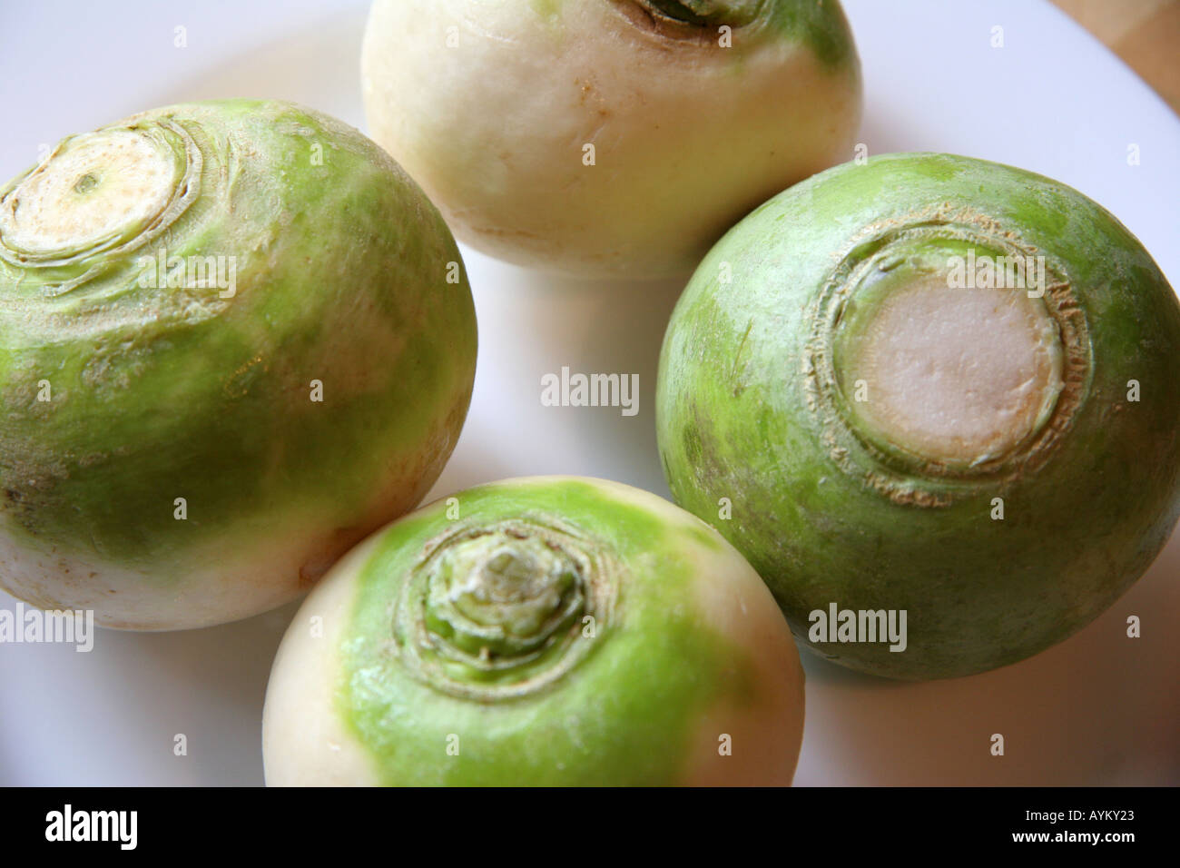 Globular root hi-res stock photography and images - Alamy