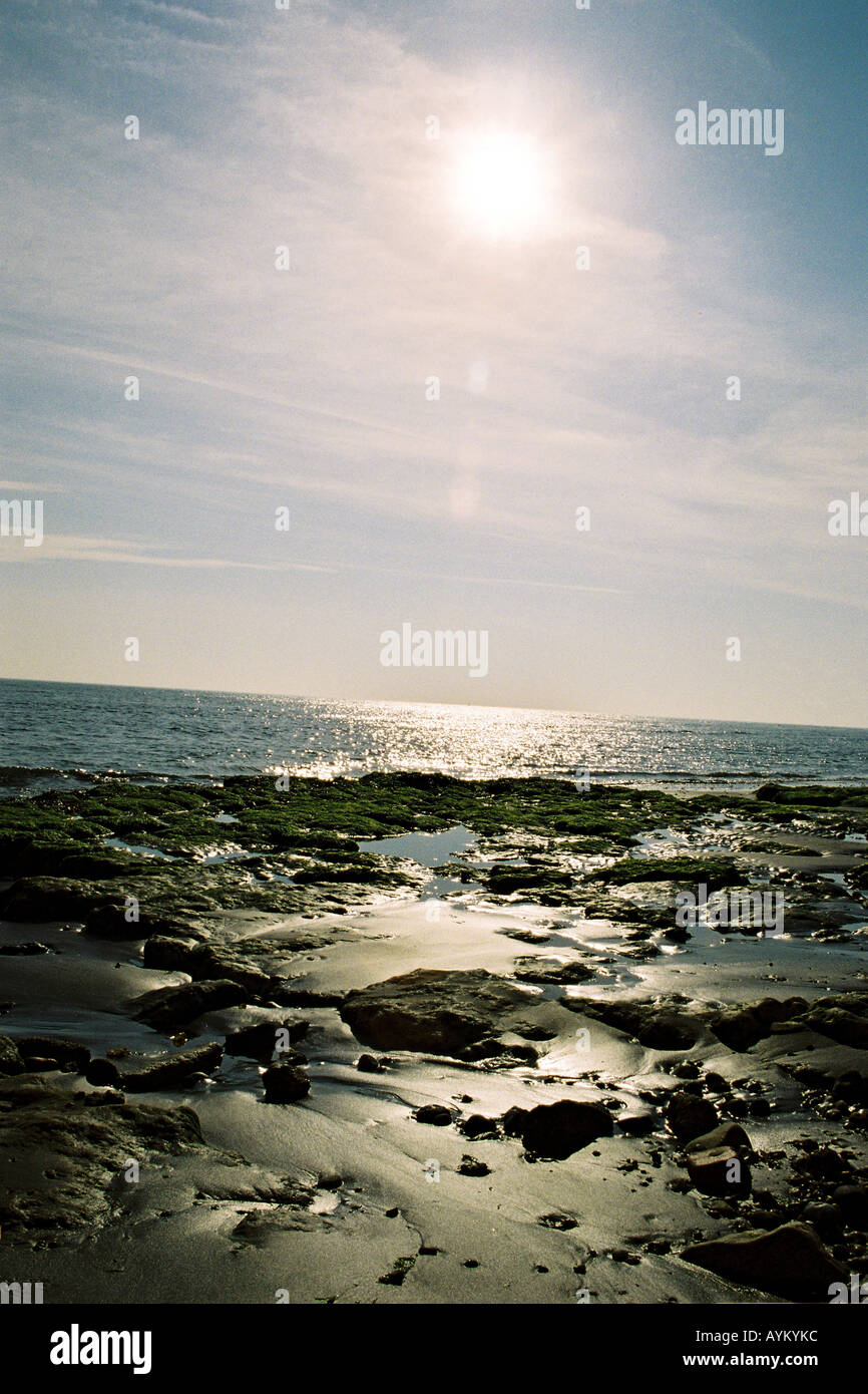 isle of white beach Stock Photo - Alamy