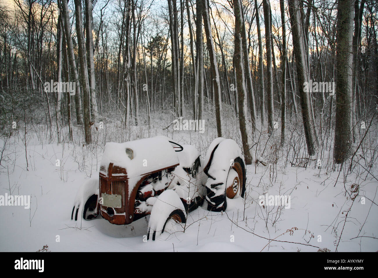 Rusty Ford Tractor from the 1940's sitting in the snow with woods and ...